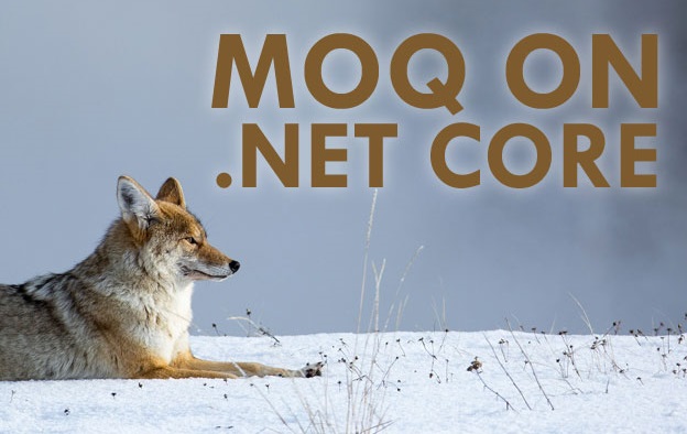 Moq in Asp .Net core – Neel Bhatt